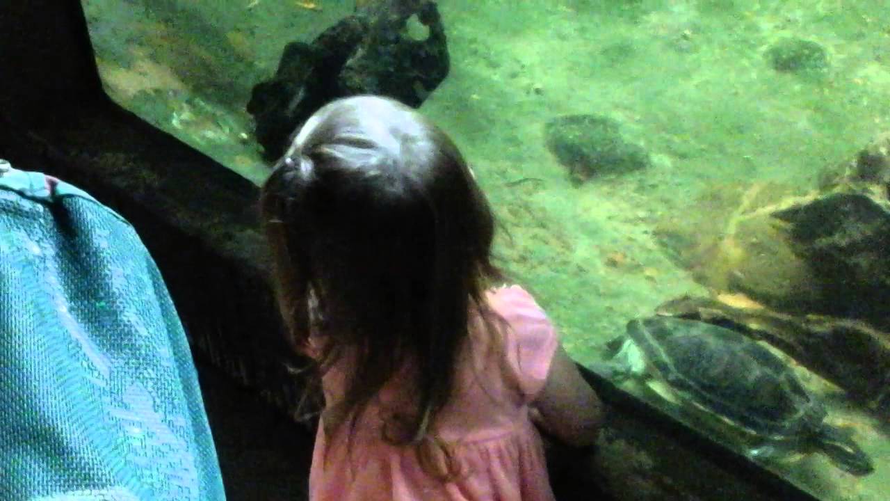 Skyler and payton at zoo - YouTube
