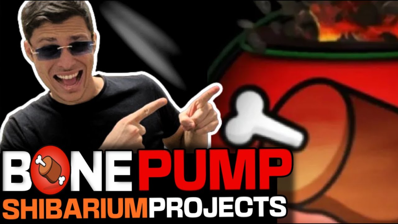 BONE TOKEN SHIBASWAP PUMPING BECAUSE OF THESE SHIBARIUM PROJECTS ...