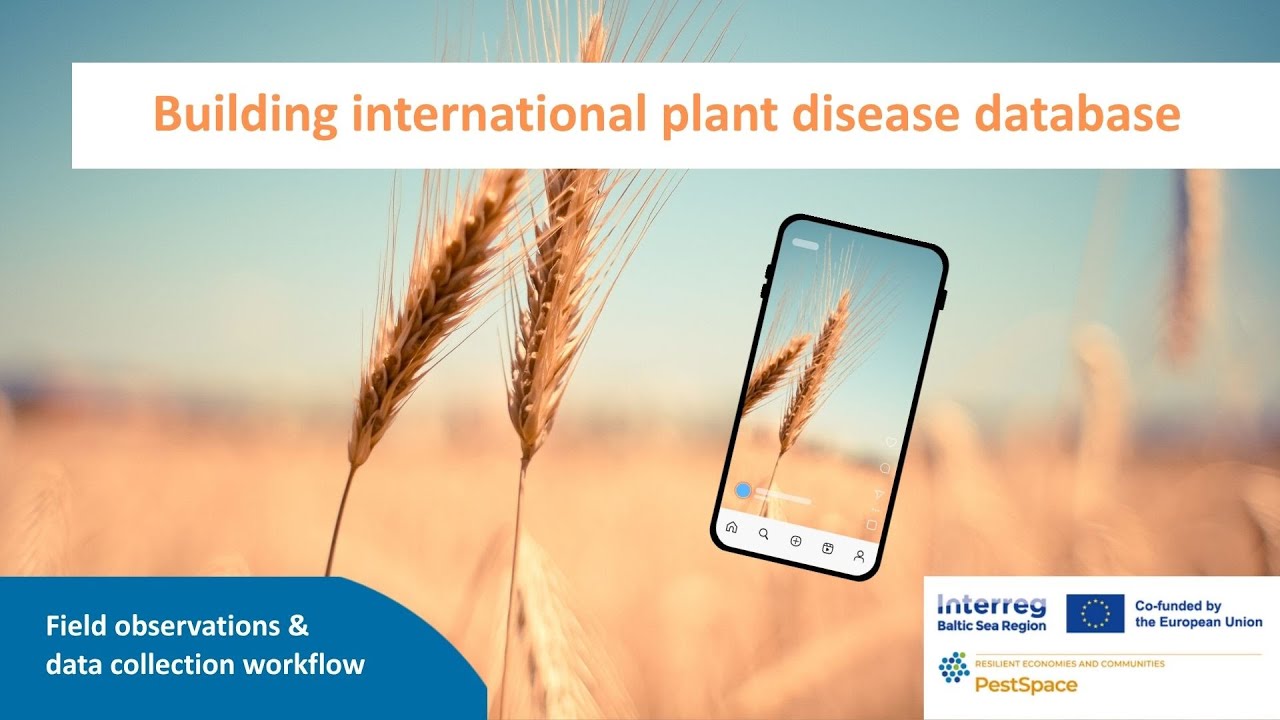 Building international plant diseases database - interreg PestSpace - YouTube