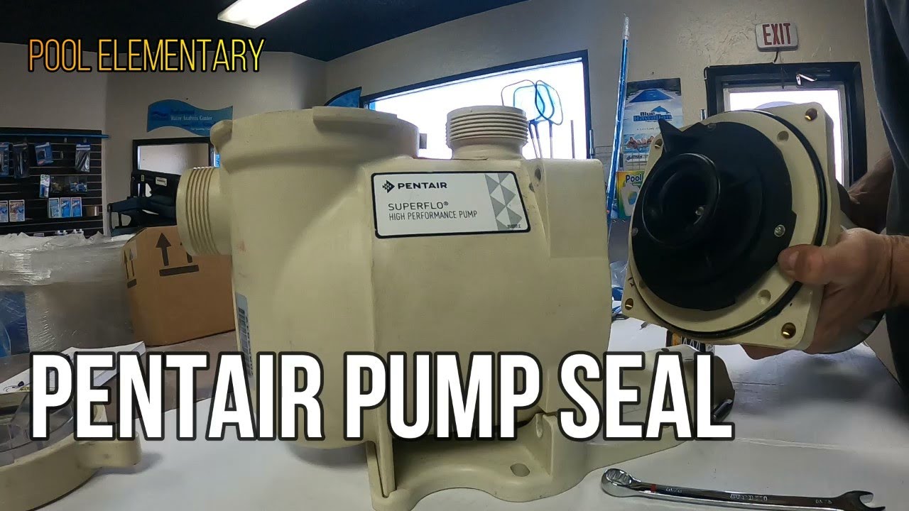 Pentair Pool Pump Seal Replacement: How to replace Pentair Super Flo ...