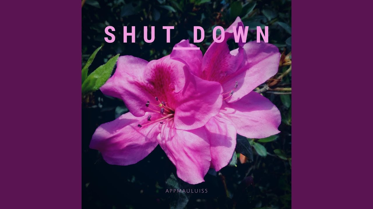 Shut Down - YouTube