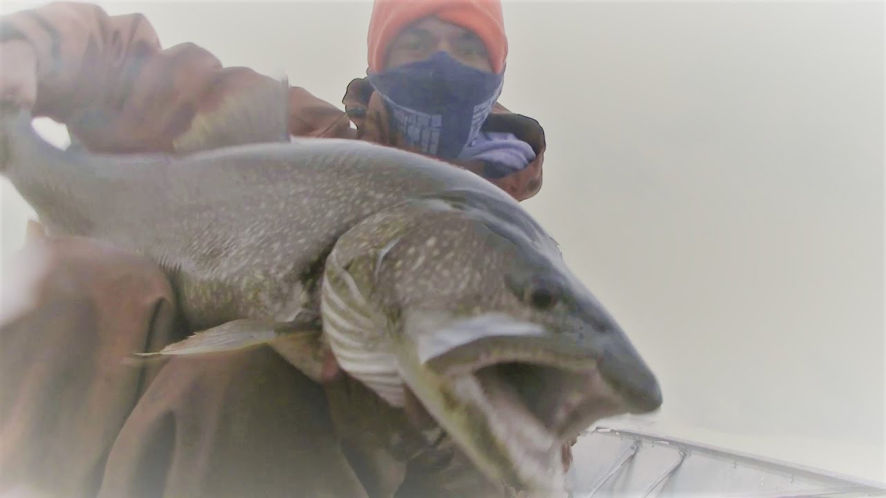 MONSTER Lake Trout (trolling) In Reindeer Lake, MANITOBA Fishing - YouTube