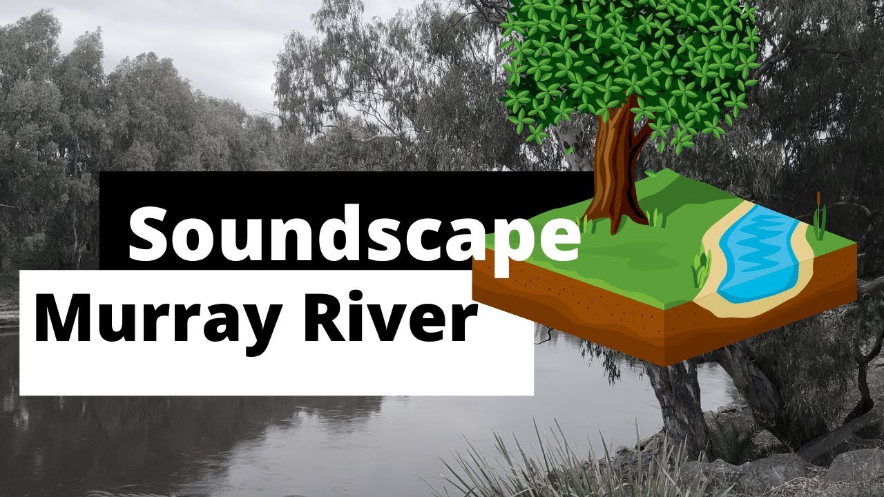 Soundscape | Forest sounds by the Murray River Bank - YouTube