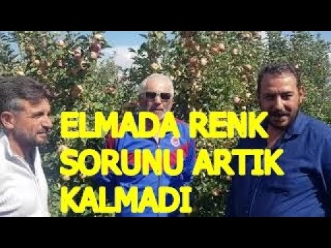 PINK LADY ELMA AĞACI RENK SORUNU