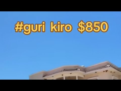 guri fooqa oo kiro 10 qol #hargaysa gaar ahaan xaafada #badacas ...