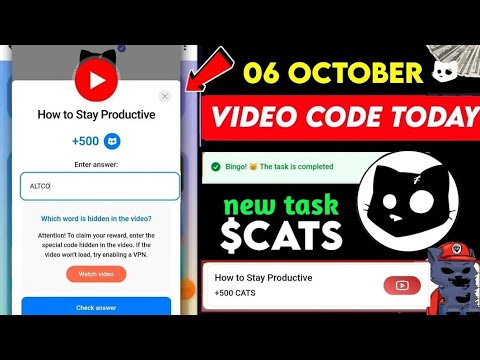 How To Stay Productive | CATS Code | 6 October 2024 - YouTube