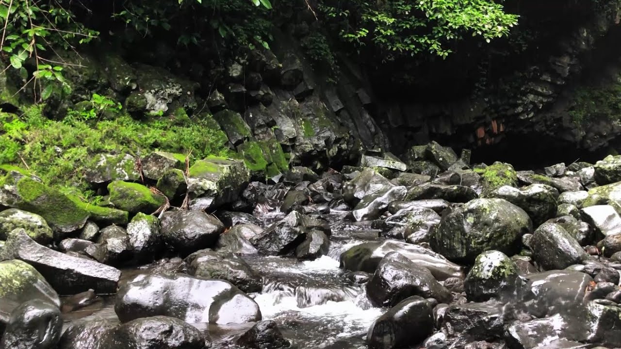 Soothing Mountain Stream after Rain - Beautiful Birds Singing & Heal ...
