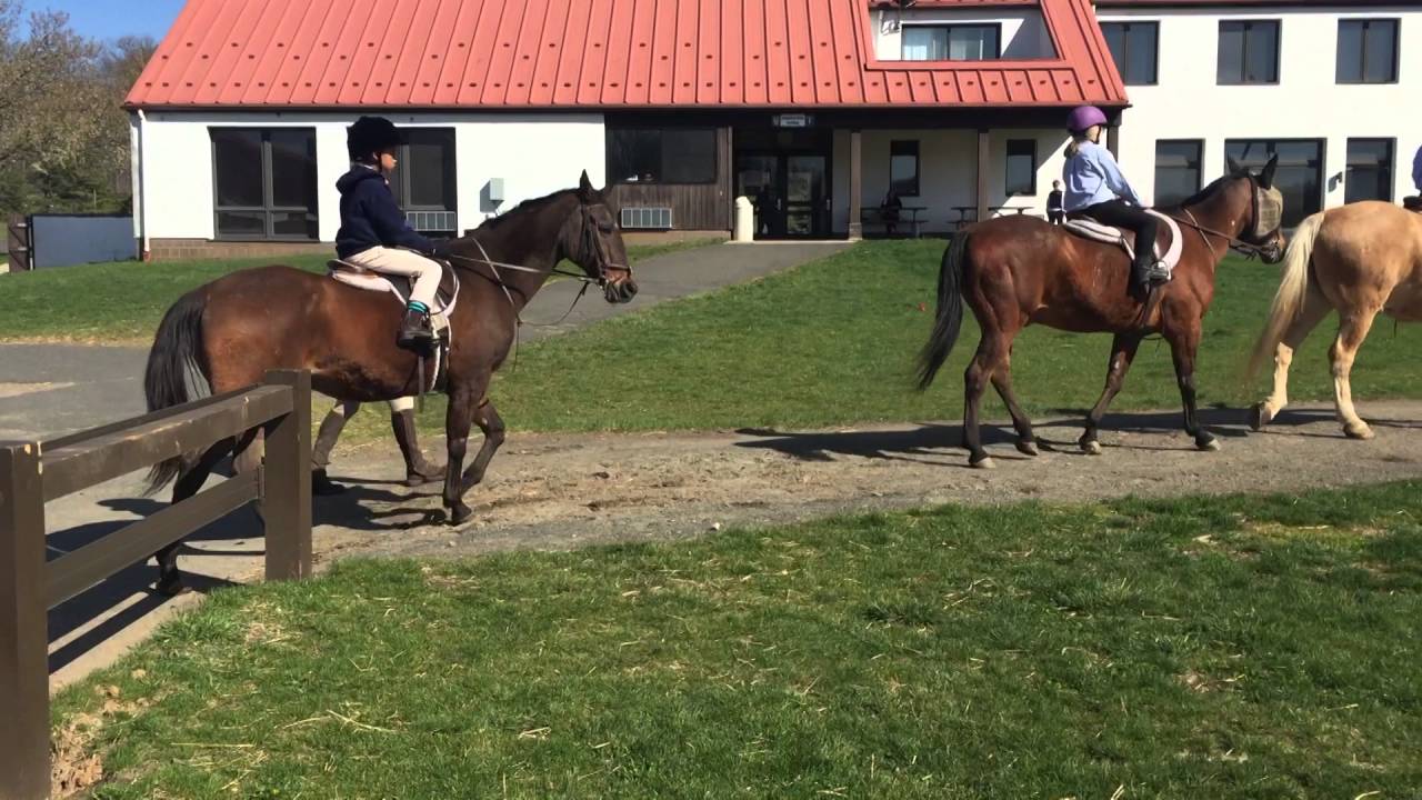Anniyah HB Lessons @ Watchung Stables - YouTube