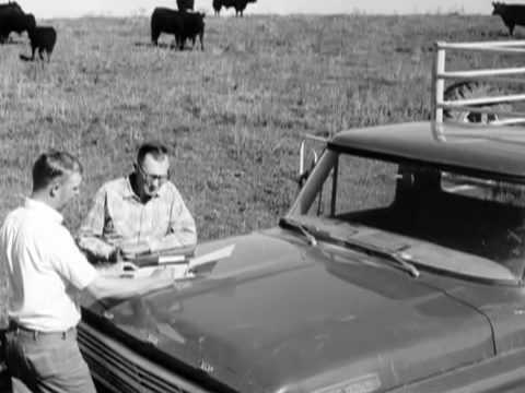I am Angus - Nichols Farms - RFD-TV - YouTube