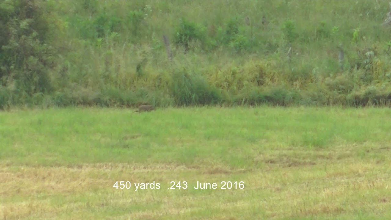 North Central Ohio Varmint Express Groundhog Hunting, Episode 4 - YouTube