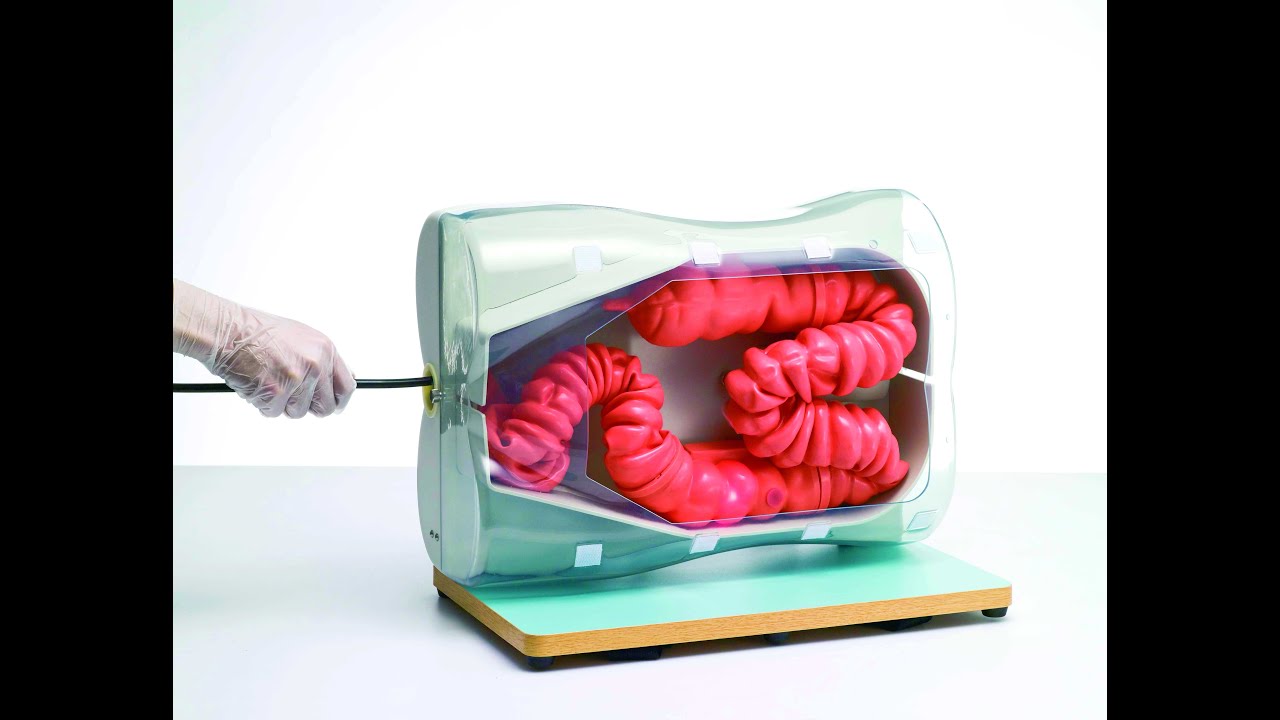 【Colonoscopy】Colonoscopy (Lower GI Endoscopy) Simulator Type Ⅱ LM-107 ...