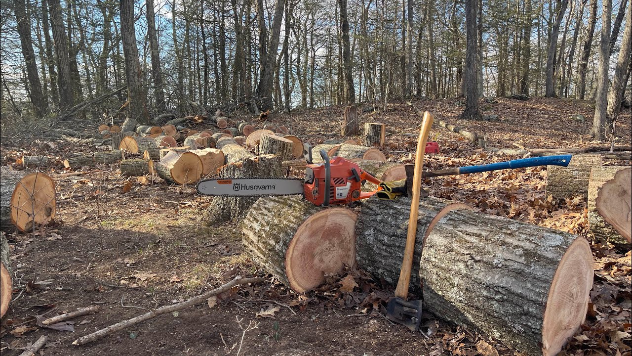 Bucking Big Red Oak - next year’s Firewood - YouTube