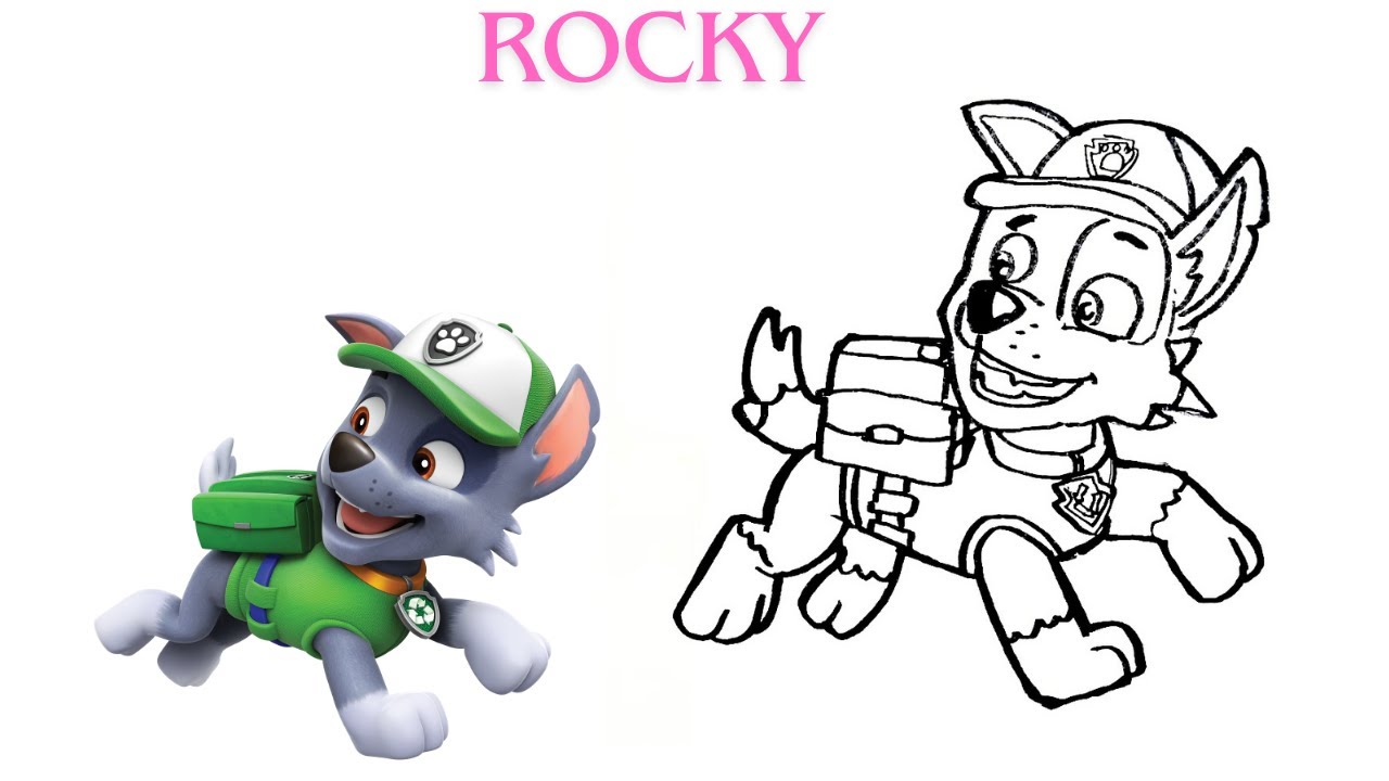 Paw Patrol From Beginner to Pro: Step-by-Step Guide to Drawing Rocky ...