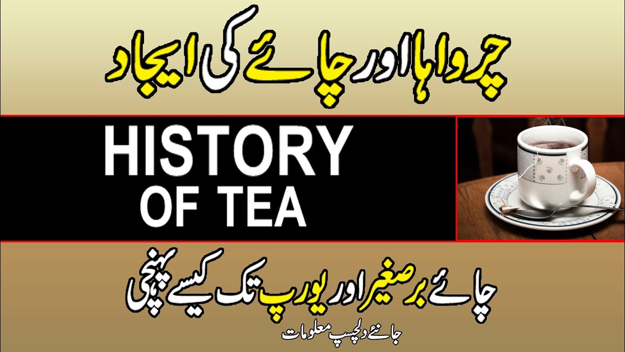 History Of Tea | Amazing Facts about Tea - YouTube