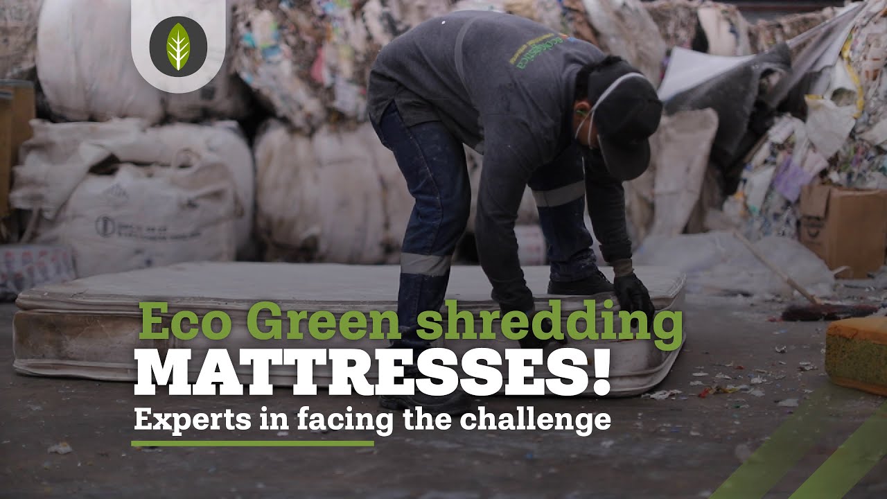 👍 Introducing Eco Green shredders, experts in tackling the challenge of ...