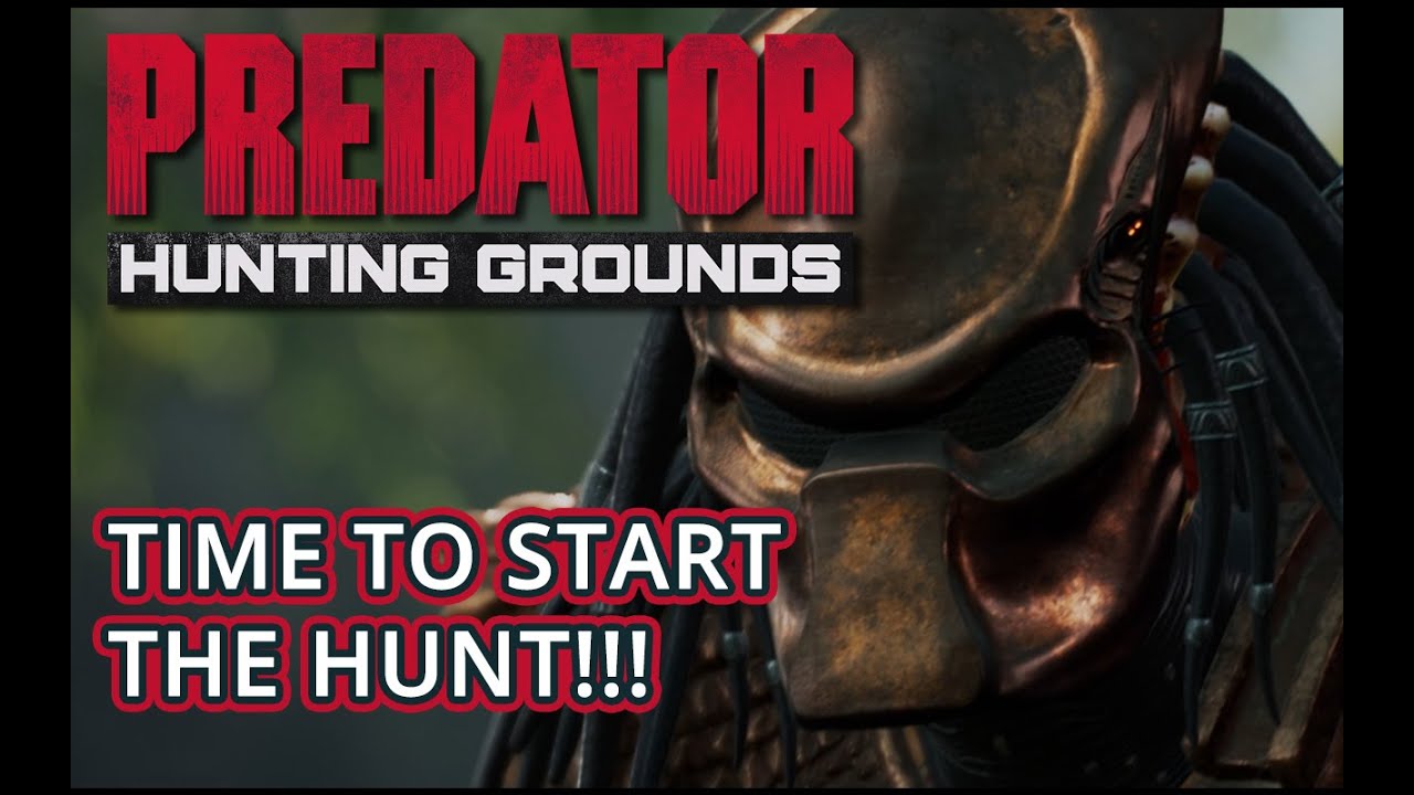Being a Merciless Hunter - Predator Hunting Grounds | Daddy Dragon ...