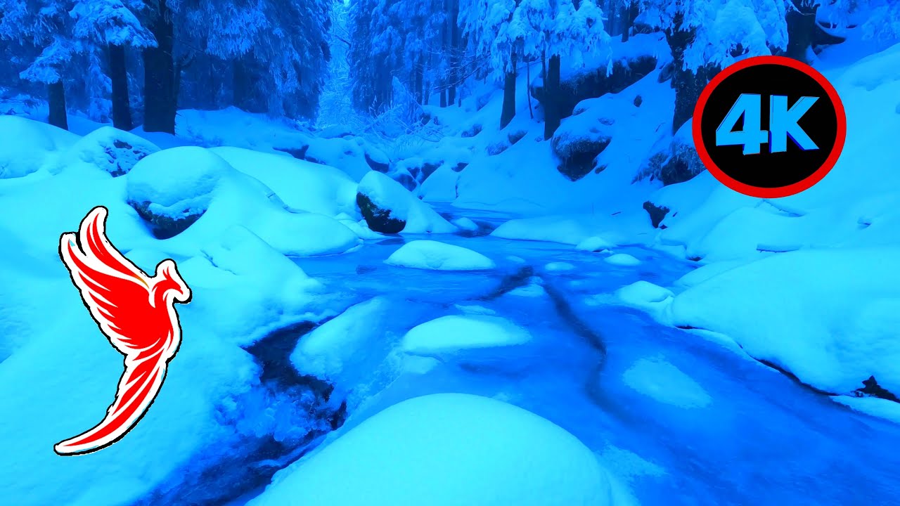 SNOWY FOREST - BEAUTIFUL 4K Video of a Stream Under Ice - Spectacular ...