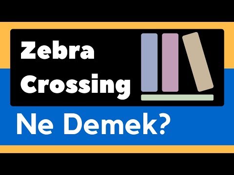 Zebra Crossing Ne Demek?