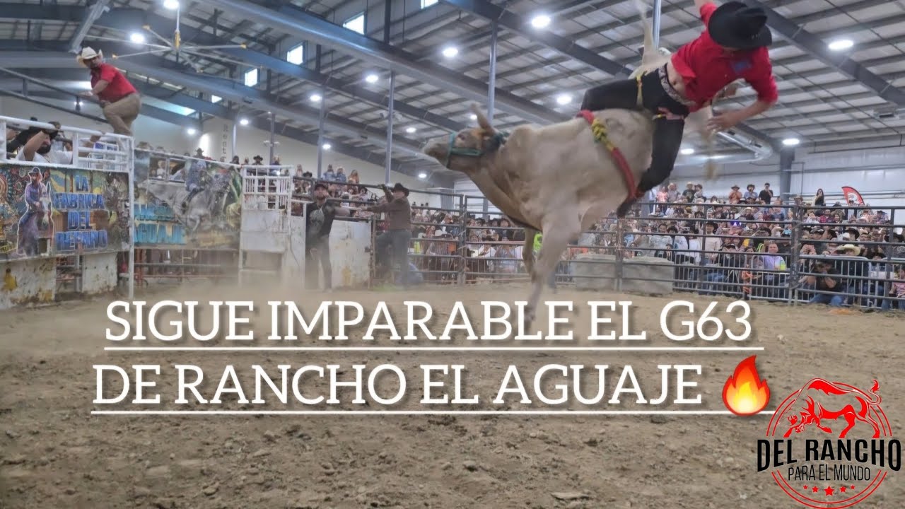 EL G63 EL TORO DEL MILLON SIGUE IMPARABLE RANCHO EL AGUAJE EN GRAYSLAKE ...
