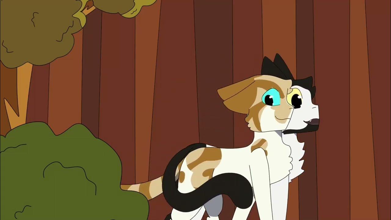 Warriors part 12 || anything warrior cats map - YouTube
