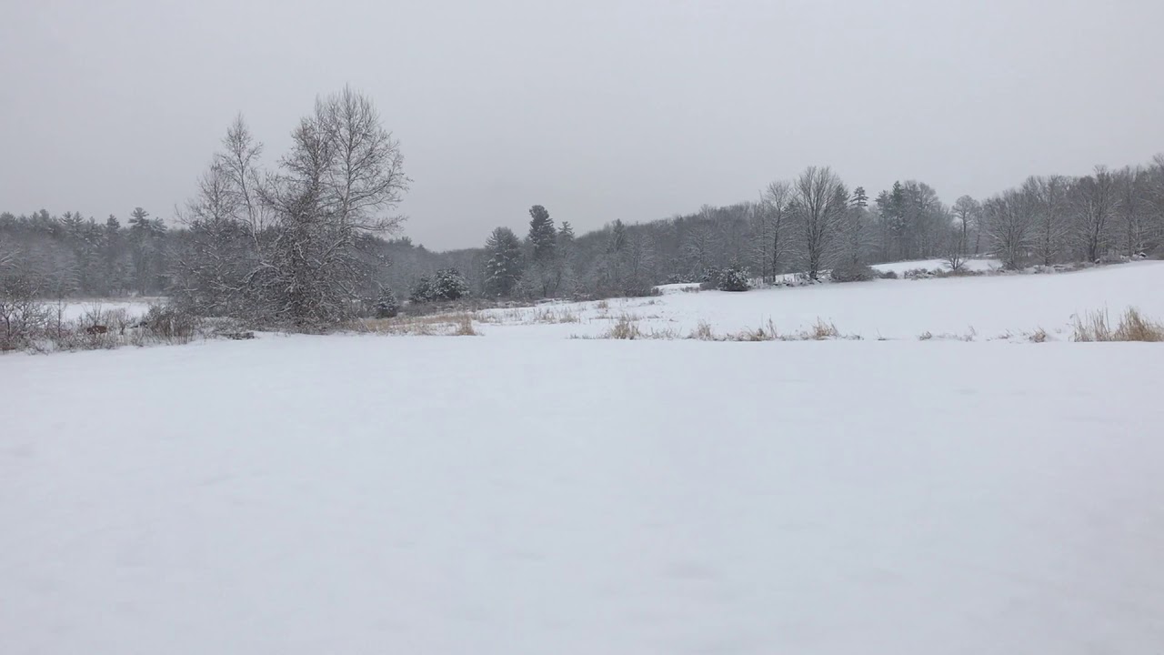 Winter snow storm over farm fields - YouTube