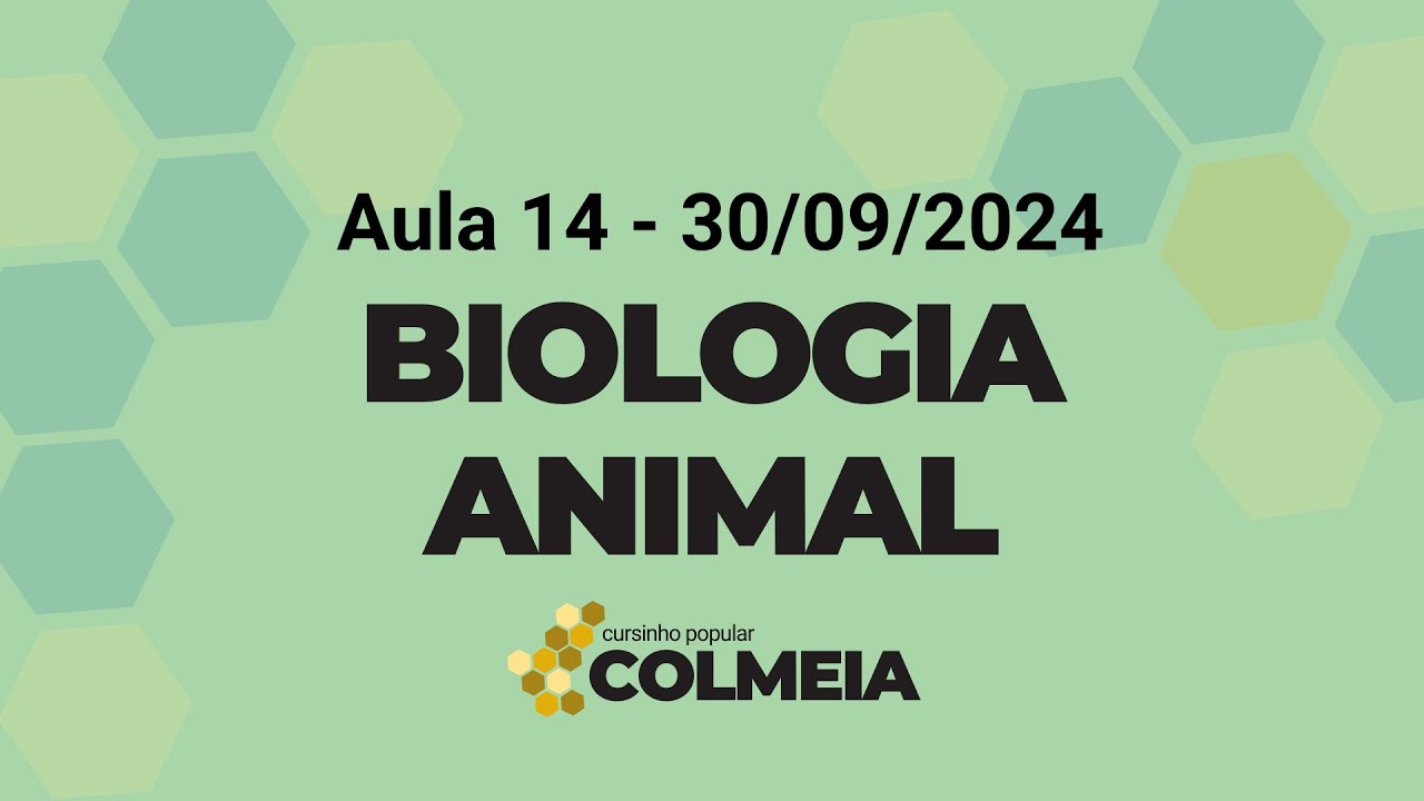 Biologia Animal - Aula 14 (30/09/2024) - YouTube