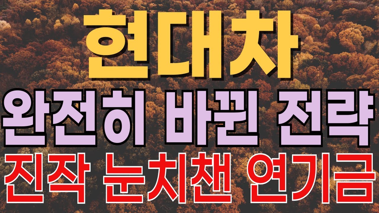 현대차 주가분석 전략이 완전히 바뀌었습니다 고환율 호재 대응법 쌍끌이 매수 외국인 매수 기관 매수 수소차