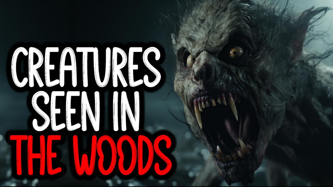 23 UNEXPLAINED & DISTURBING Creatures Seen in the Woods V10 - YouTube