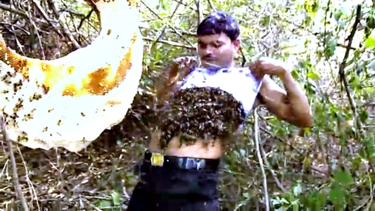 The Real Bee-Man... Khatro ka Khiladi... मधुमक्खी-Man... Super Human ...