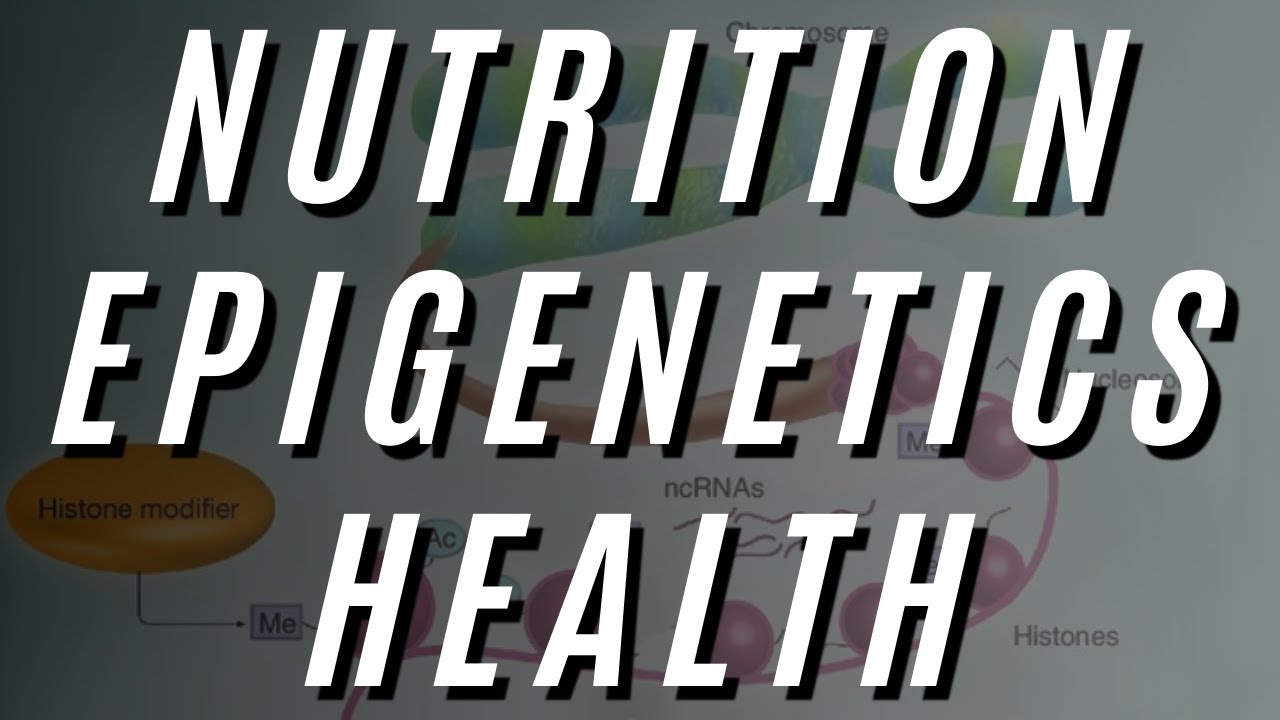 Epigenetics & the Epigenome: The Reason Nutrition & Supplementation ...