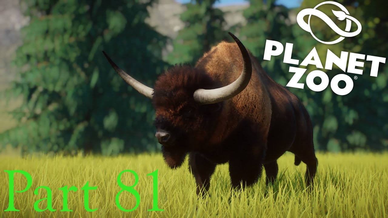 Planet Zoo Mod Spotlight Part 81 - YouTube