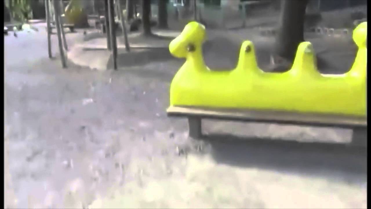 Baby Monkey Riding on a Pig - YouTube