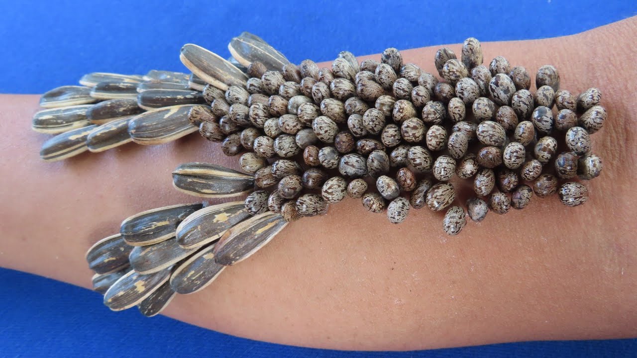 Let's remove many ticks style on arm human | Designed from cereals and ...