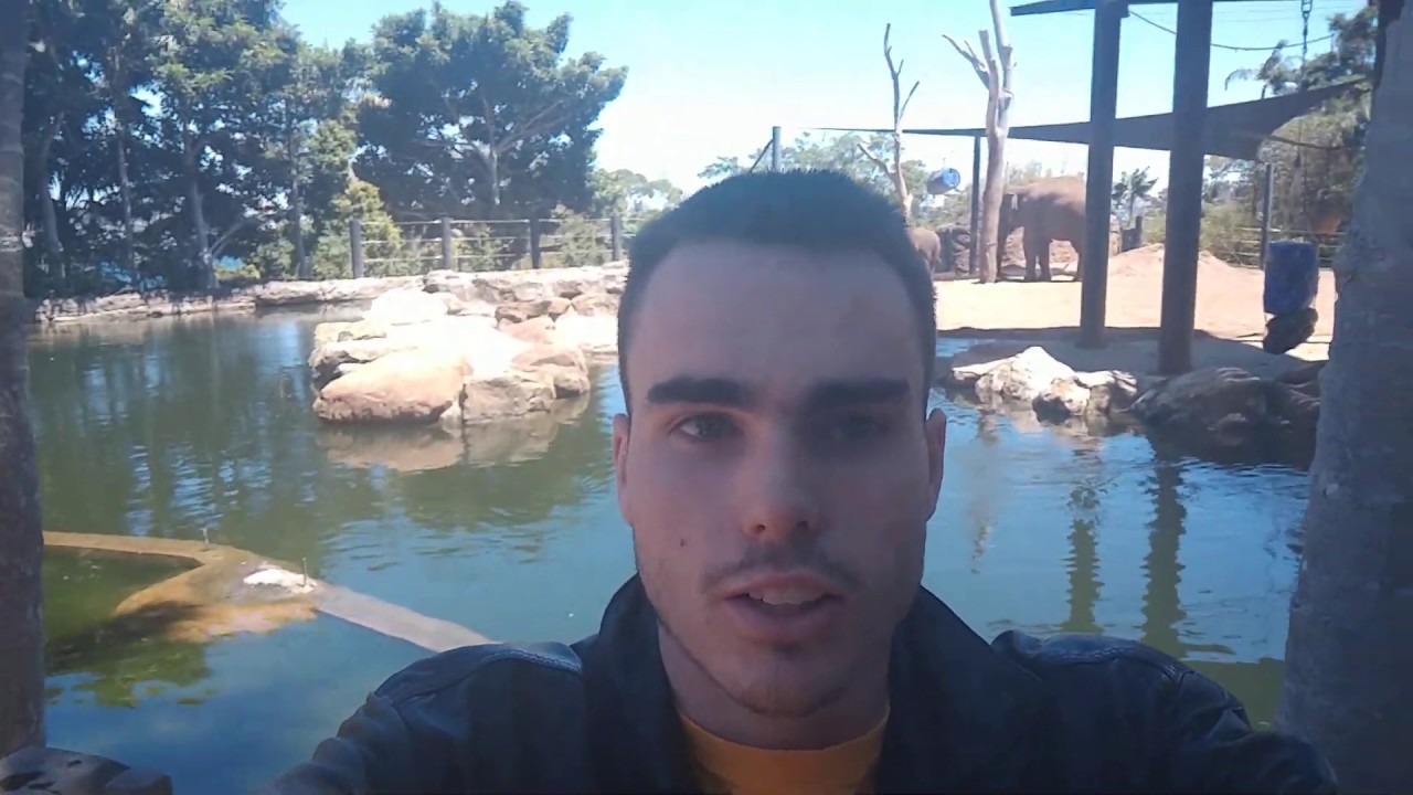 Me at the Zoo (2019 remake at Taronga Zoo Sydney Australia) Realtime ...