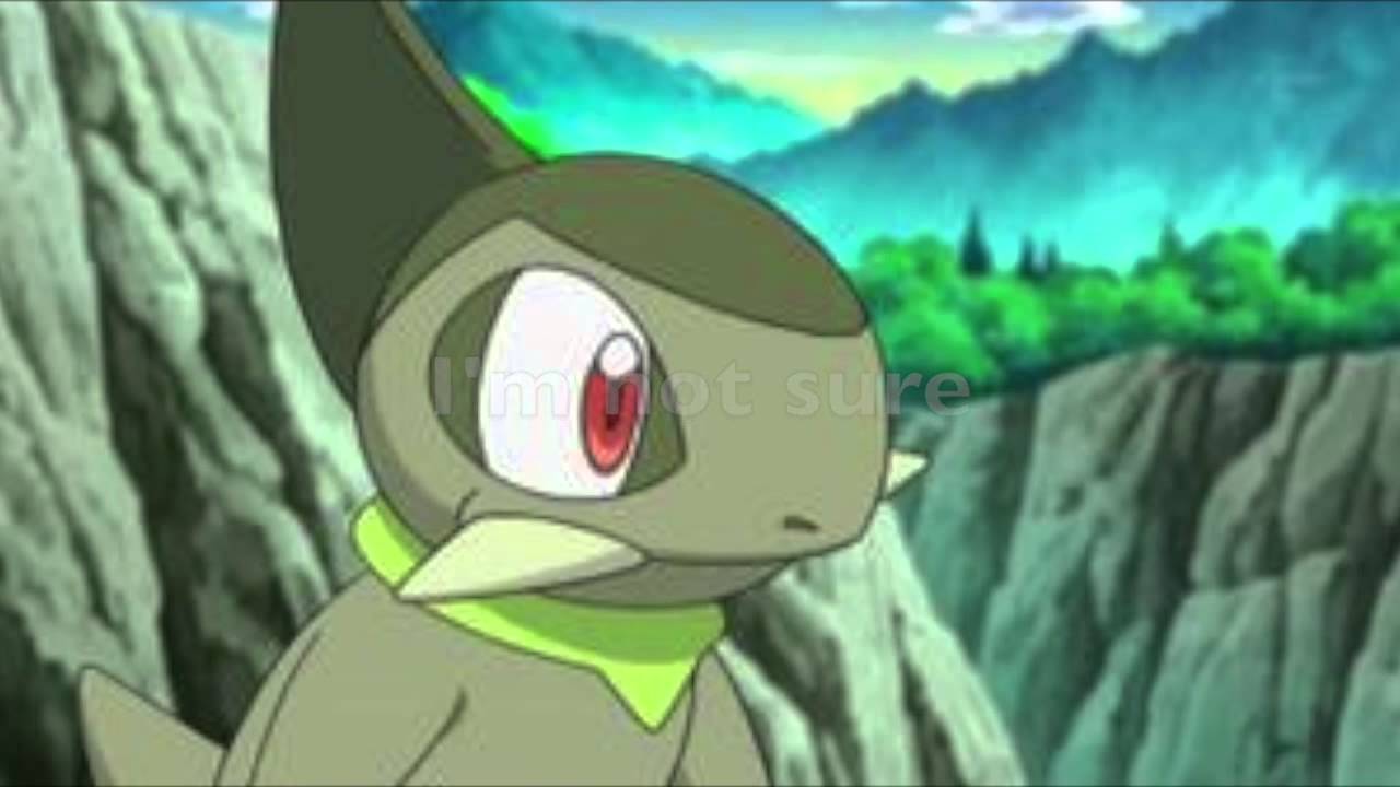 Pokehigh episode 16 - YouTube