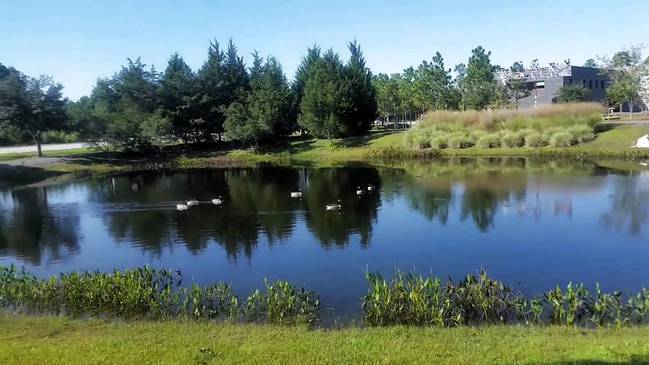 Cameron Art Museum - Pond Walk - YouTube