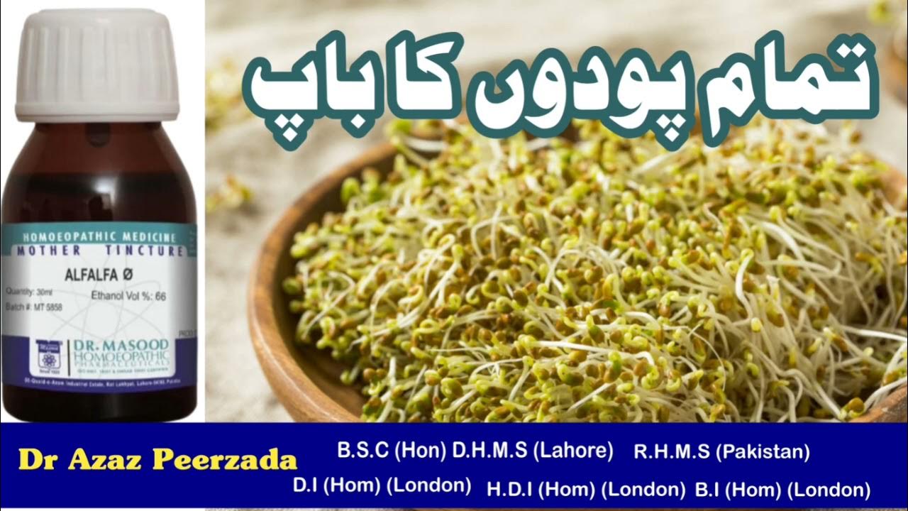 alfalfa homeopathic medicine urdu benefits) First Health Care Official - YouTube