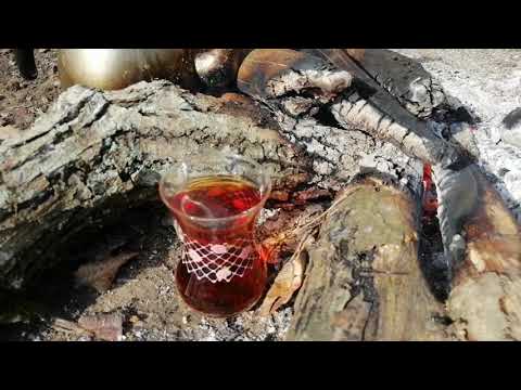 Manzarada çay keyfi