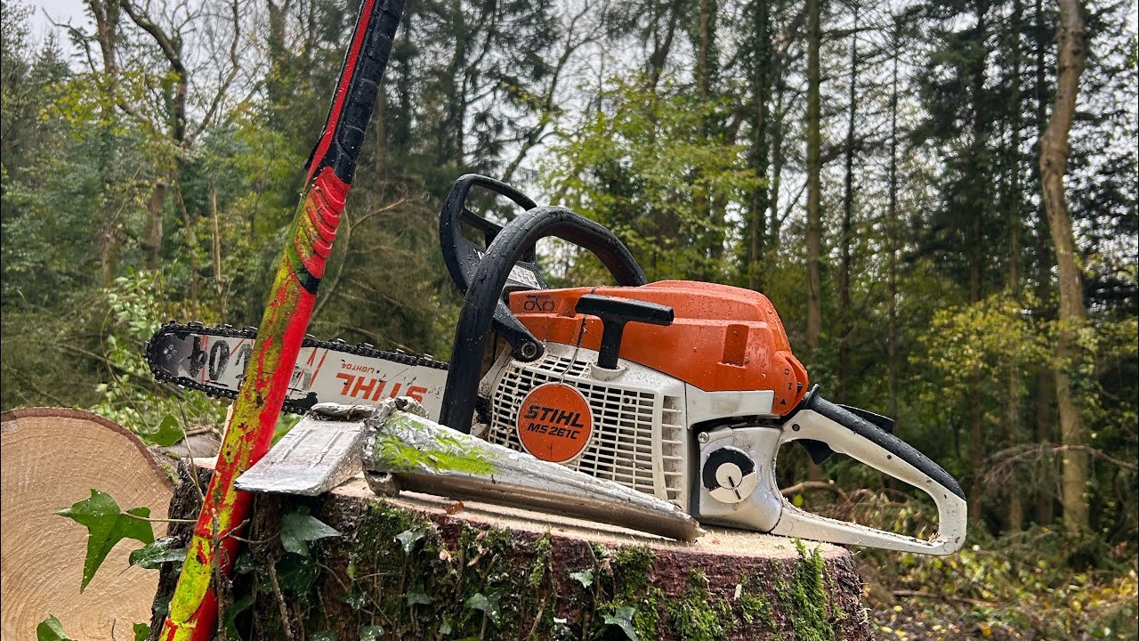 1.7 Million views of a tree felling Viral Video of a Hung up tree, this ...