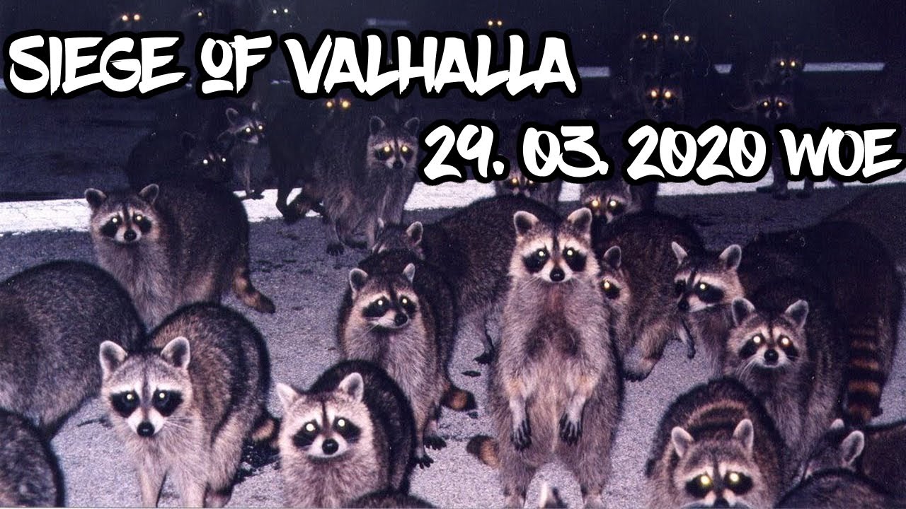 [Raccoon Squad] Smokie - Siege of Valhalla WoE 29. 03. 2020 - YouTube