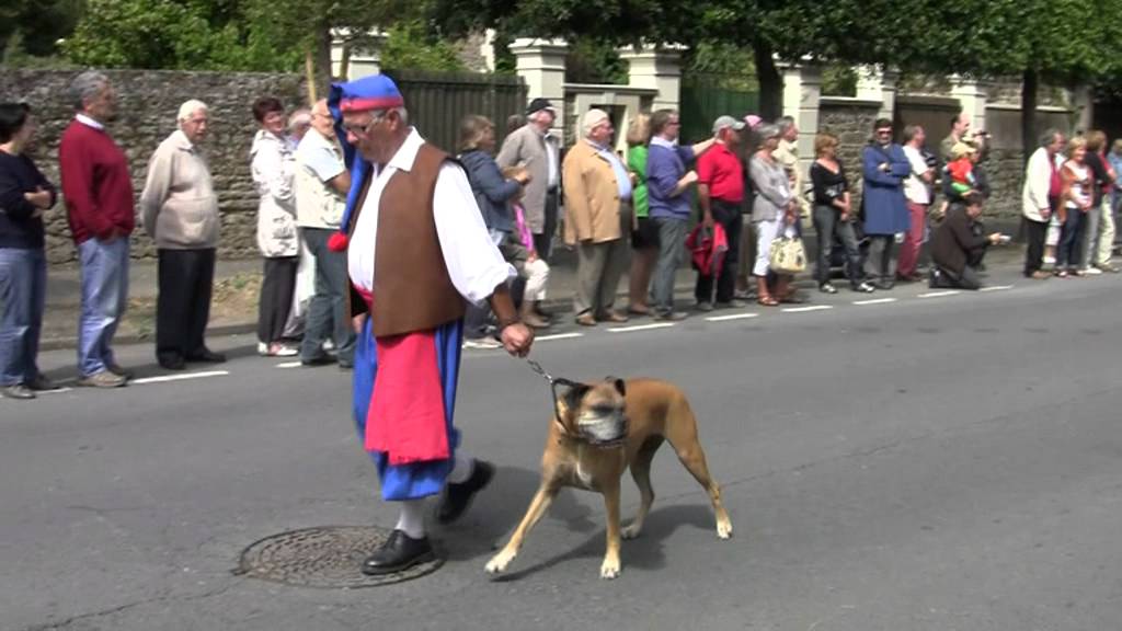 chien du guet - YouTube