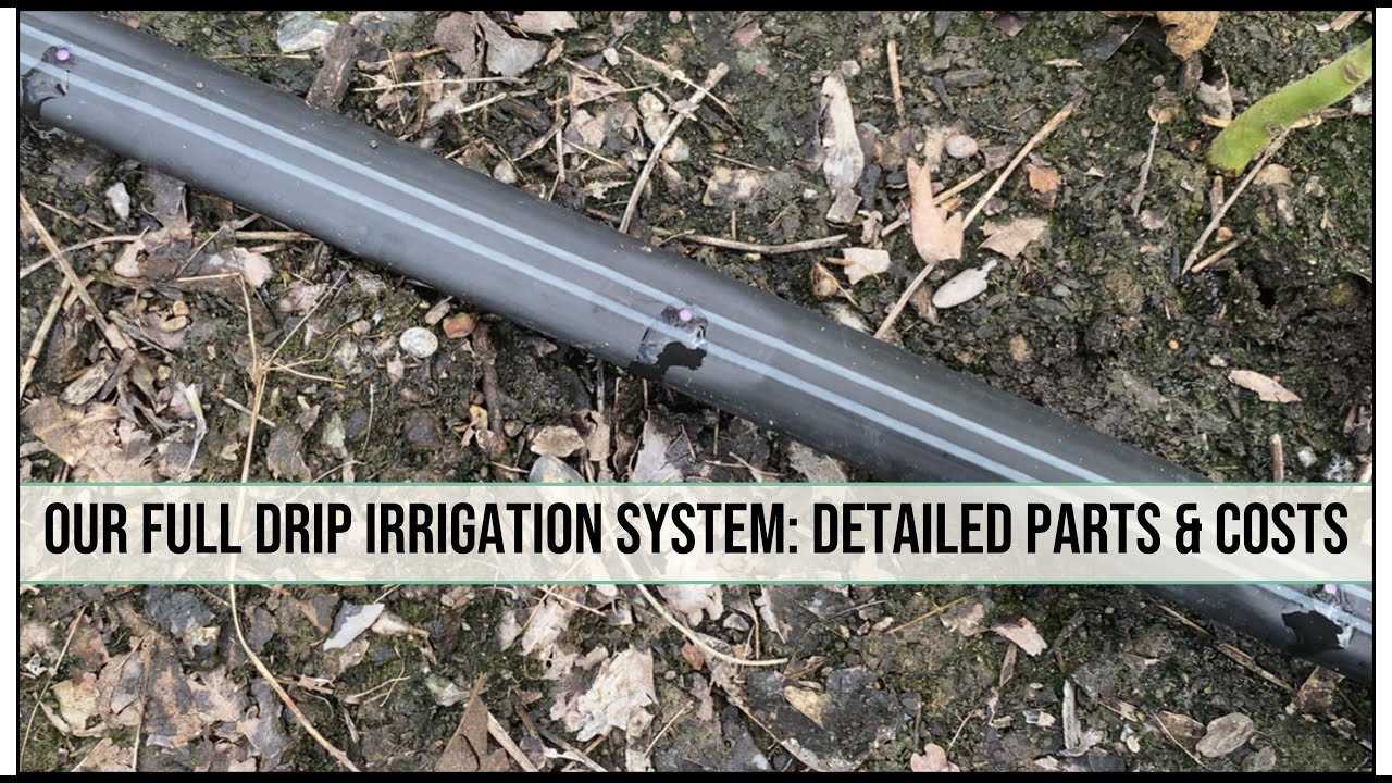 Our DIY Drip Irrigation System with Detailed Parts List and Full Cost ...