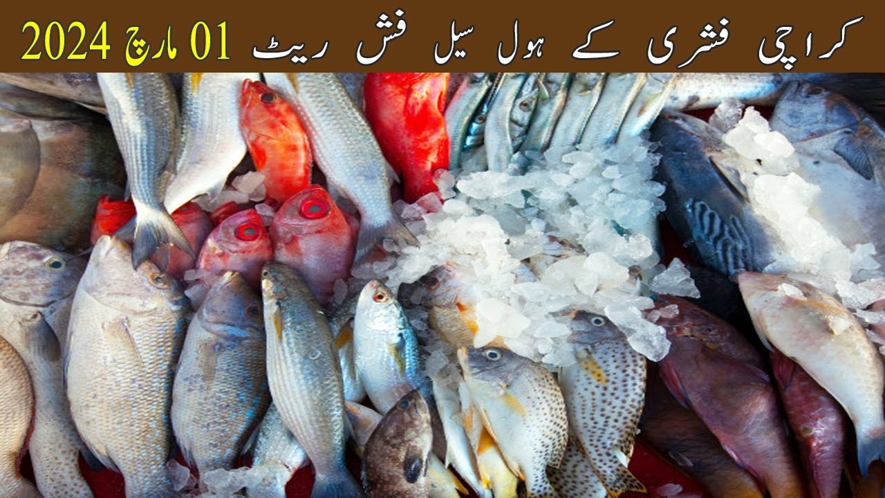 Fish Rate Today || 01 March 2024 || Latest Fish Rates Karachi || Fish ...