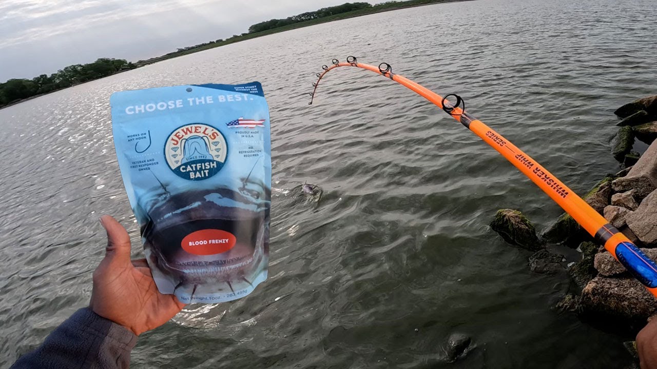 Bank Fishing With A New Catfish Bait! - YouTube