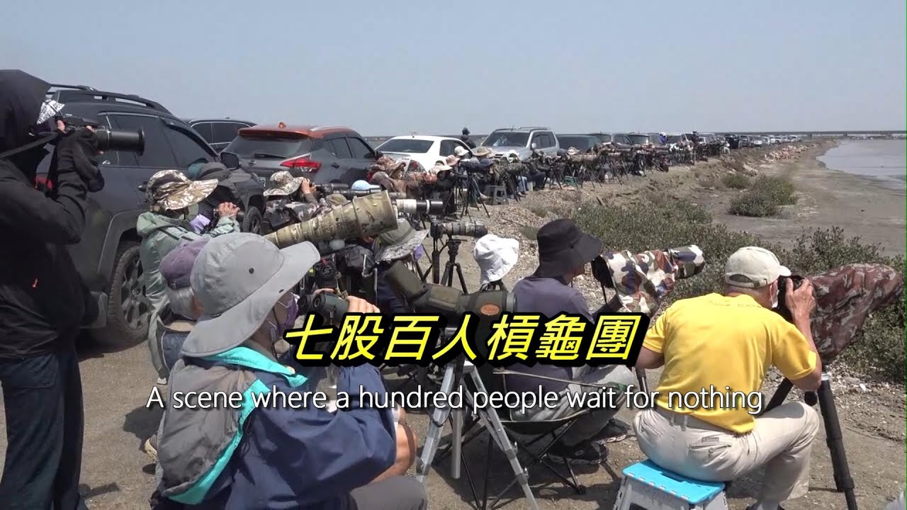 七股百人槓龜團4K|A scene where a hundred people wait for nothing - YouTube