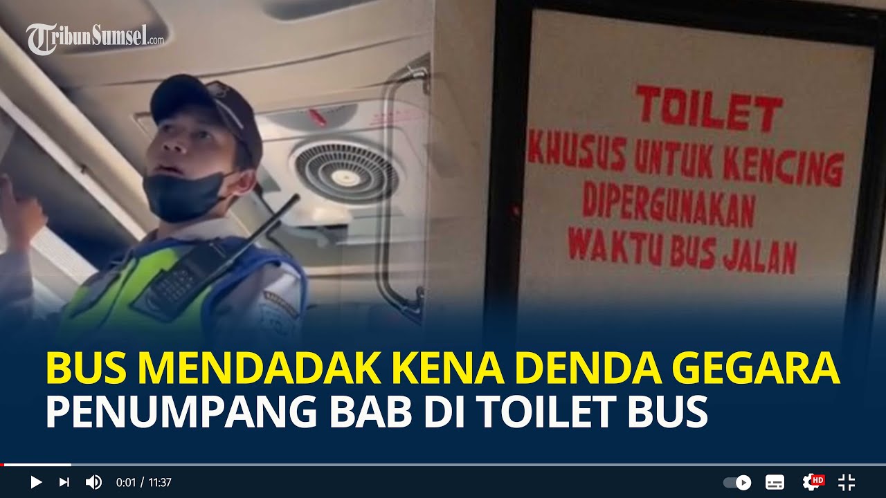 Viral, Bus Mendadak Kena Denda Gegara Penumpang BAB di Toilet Bus dan ...