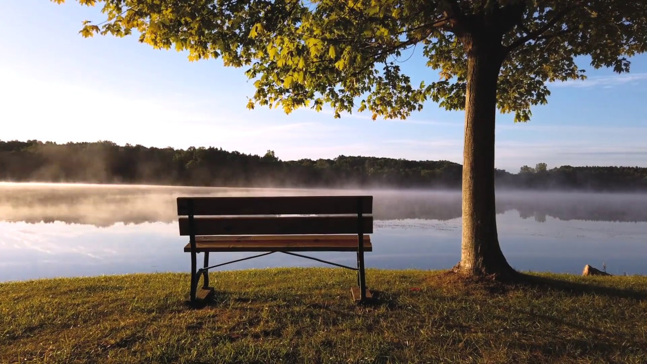 A Cinematic Wooden Bench Besides a Foggy Lake Footage - StockrCC0 - YouTube
