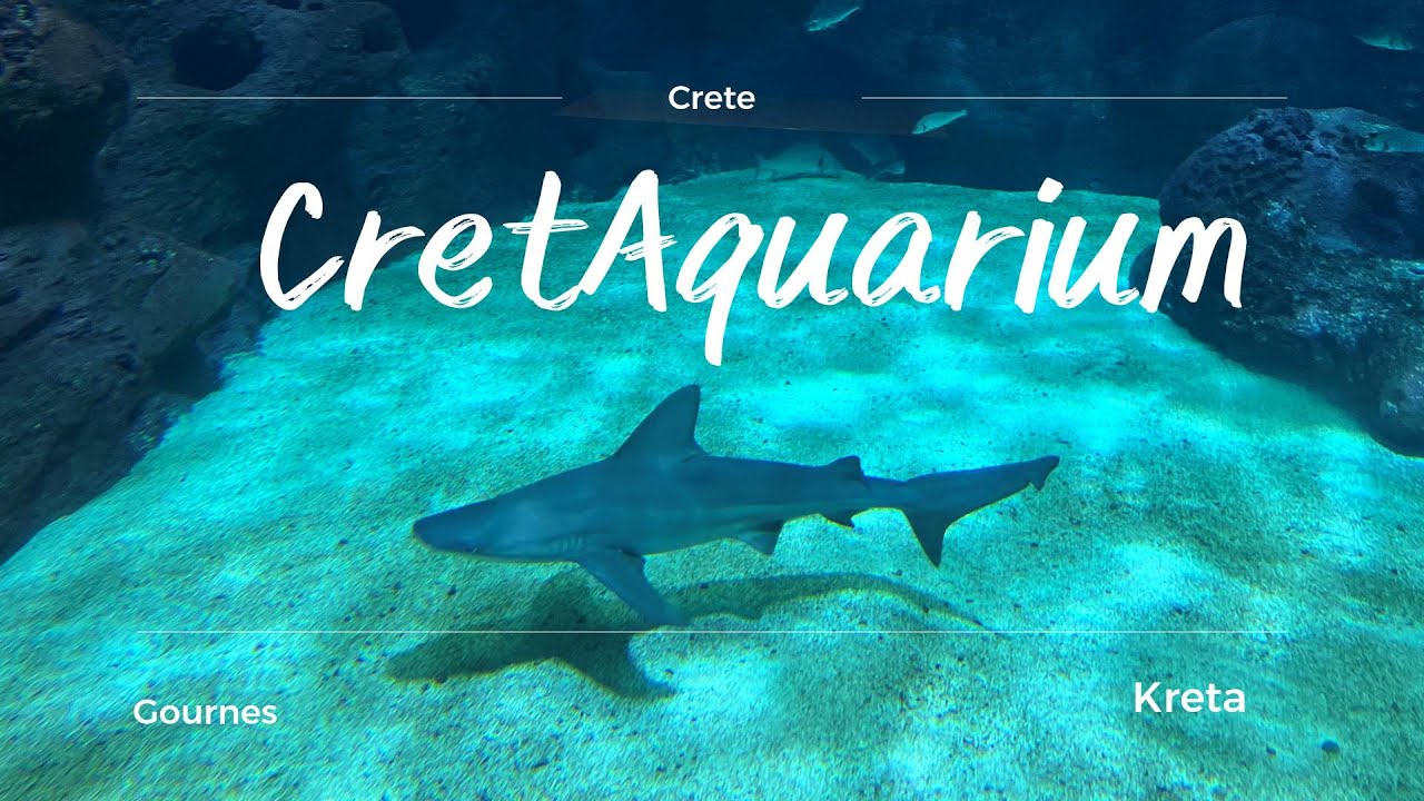 Crete Aquarium CretAquarium 4K - YouTube