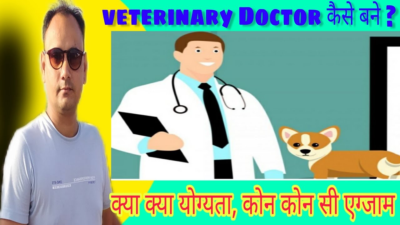 How To Become A Veterinary Doctor YouTube how-to-become-a-veterinary-doctor-youtube