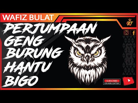 Perjumpaan Geng Burung Hantu Bigo